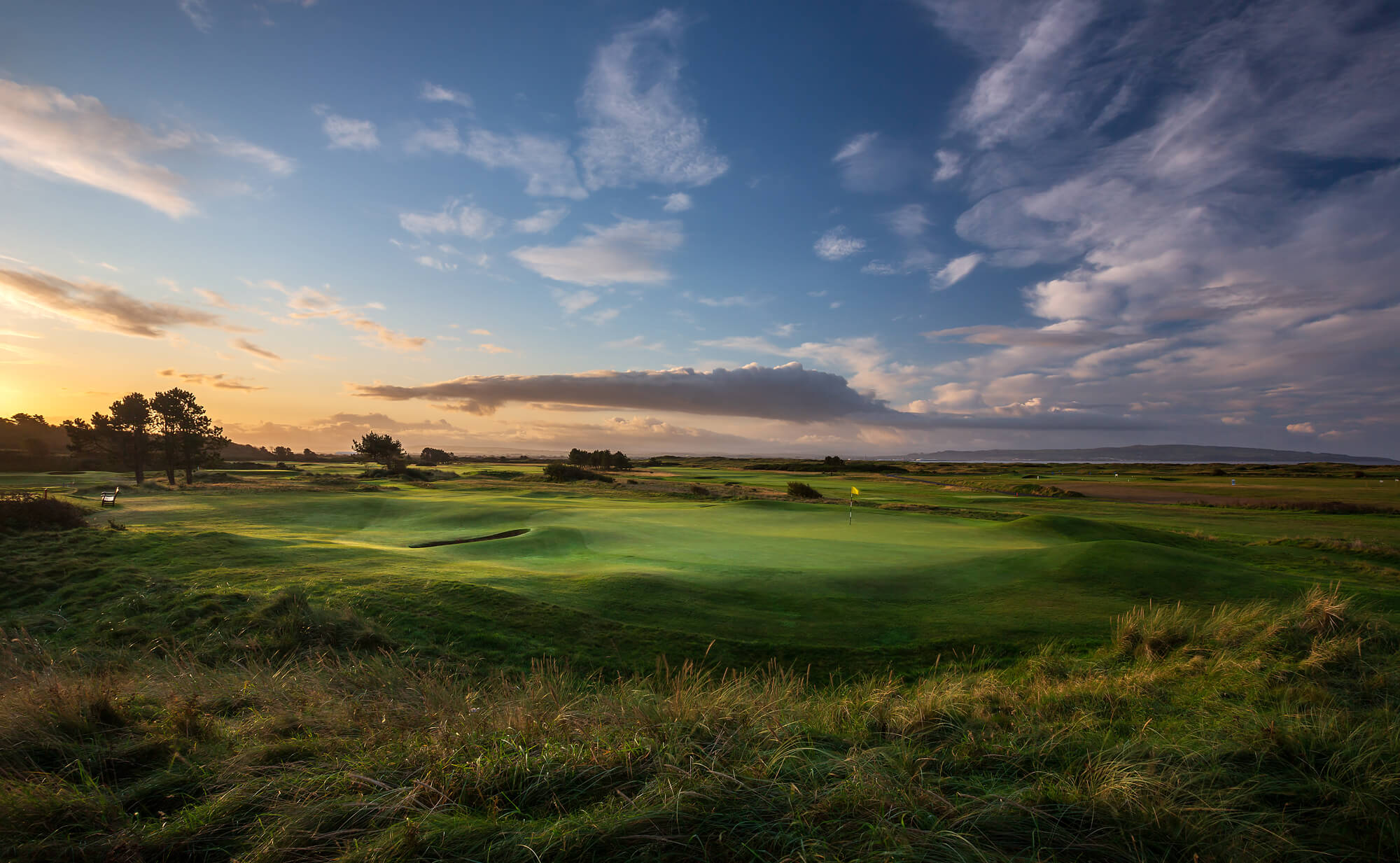 The Open Case Study - TEC